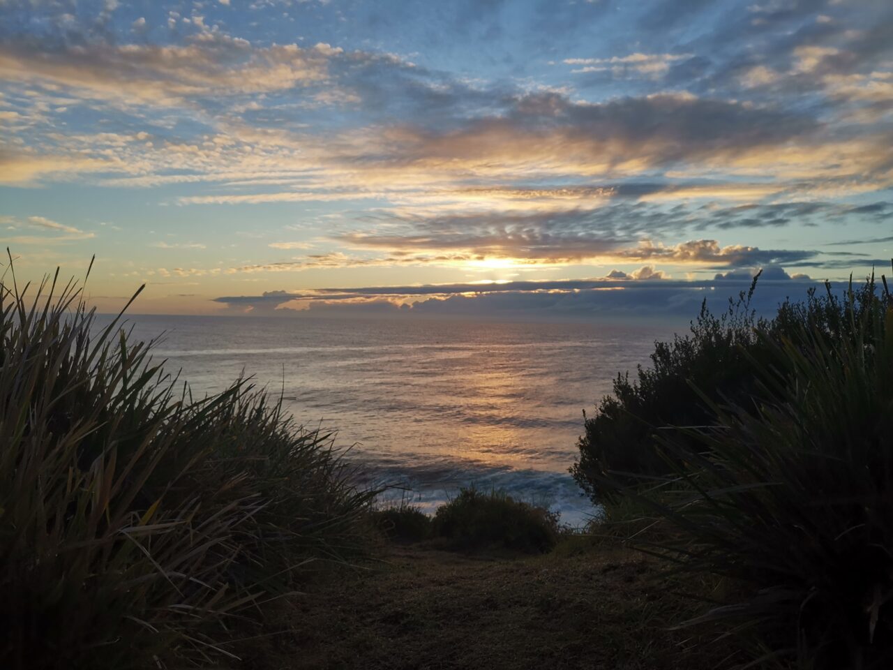 17/6: Keep up your winter swims - BOLD & BEAUTIFUL SWIM SQUAD MANLY